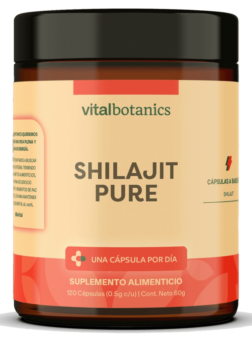 Shilajit en Cápsulas – VitalBotanics